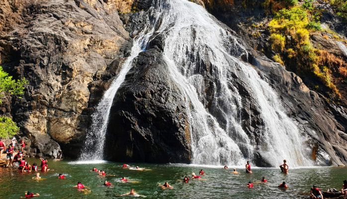Dudhsagar Falls Goa and Spice Plantation Tour